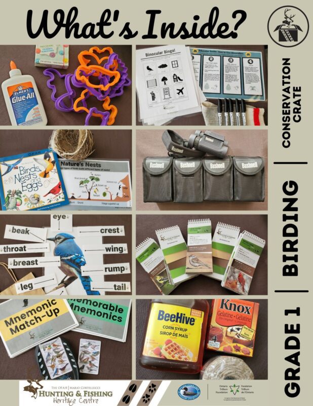 Conservation Education in a Crate | OFAH Foundation