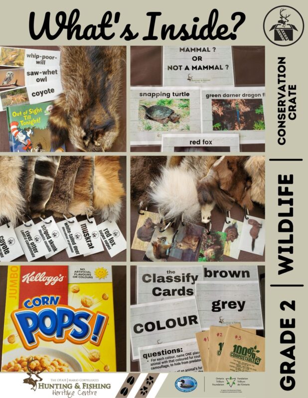 Conservation Education in a Crate | OFAH Foundation